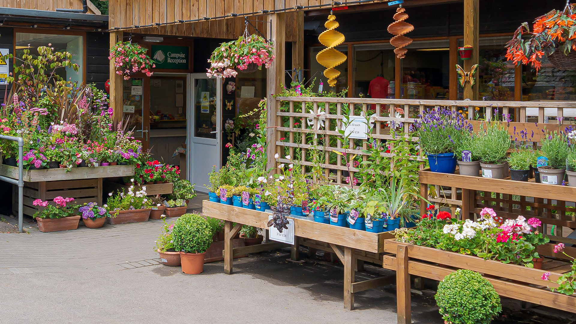A 4-pennant campsite in Corfe Castle, Dorset with Farm Shop.